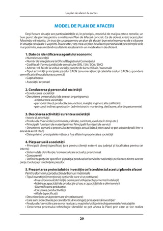 Plan de afaceri (2) | PDF