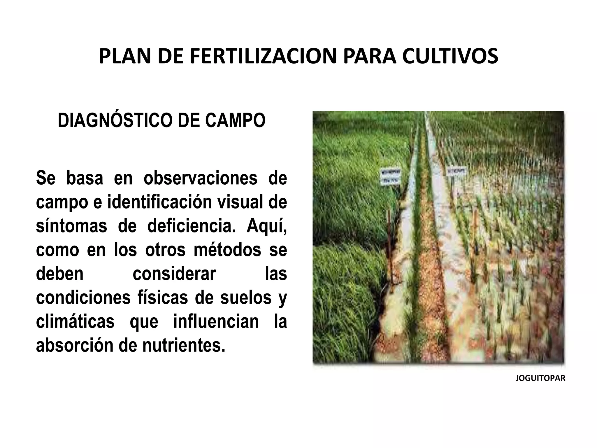 Plan de Fertilización para Cultivos AgrÍcolas | PPTX