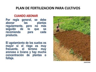 Plan de Fertilización para Cultivos AgrÍcolas | PPTX