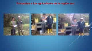 Plan de fertilizacion [autoguardado] | PPTX