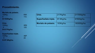 Plan de fertilizacion [autoguardado] | PPTX