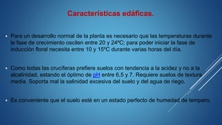 Plan de fertilizacion [autoguardado] | PPTX