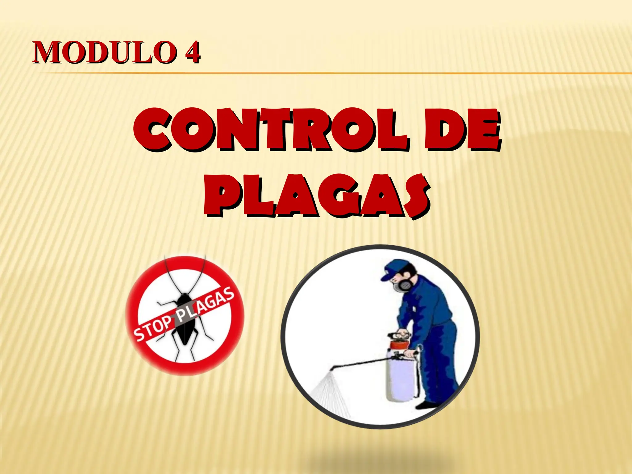 PLAN DE SANEAMIENTO BÁSICO union temporal | PPT