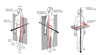 Plane and axis | PPTX