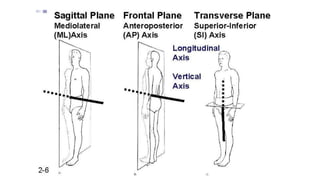 Plane and axis | PPTX