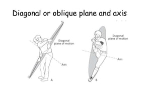Plane and axis | PPTX