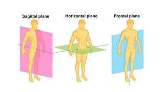 Plane and axis | PPTX