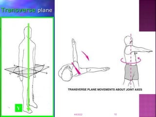 Plane & axis | PPTX
