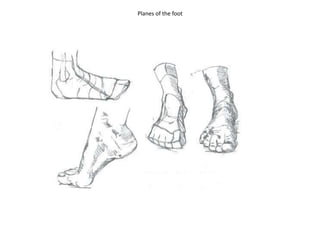 Planes in the figure | PPT