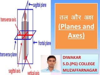 Planes and Axes | PPT