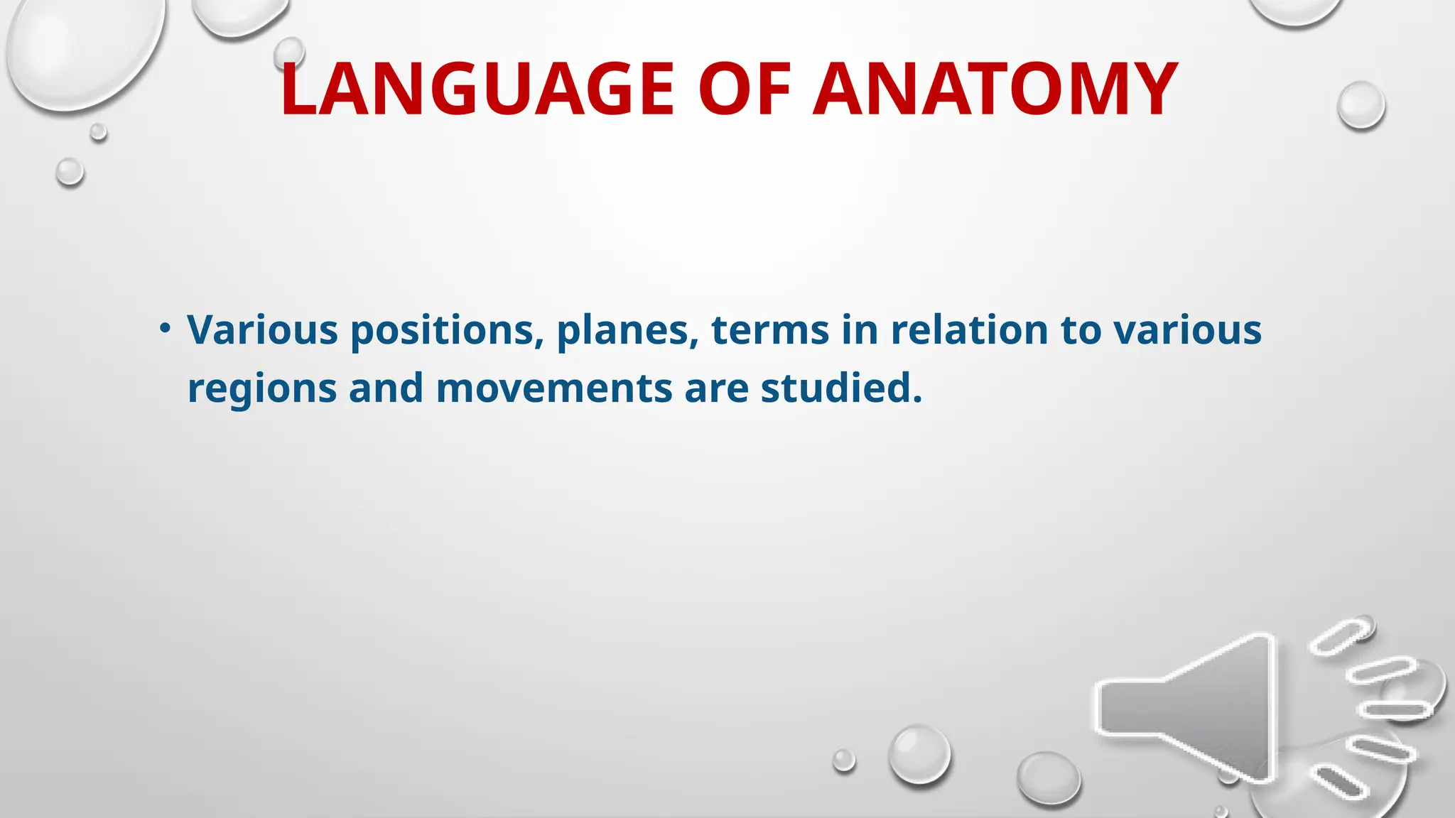 planes and language of human anatomy .pptx