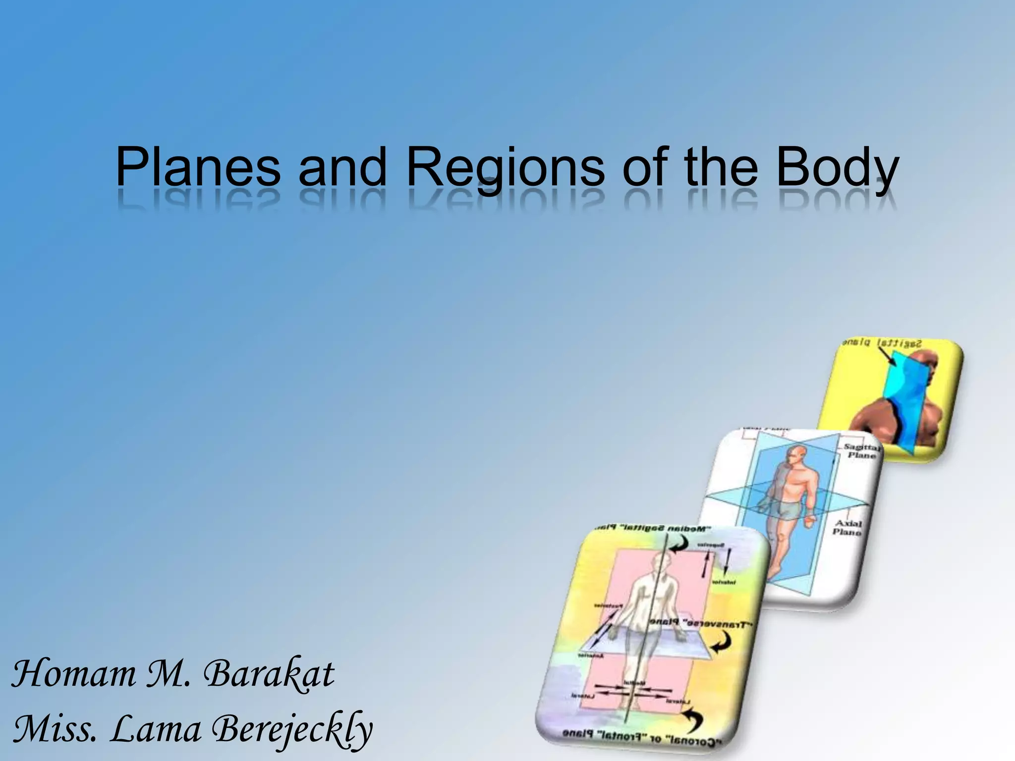 Planes and regions of the body | PPTX