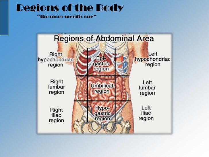 Planes and regions of the body