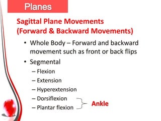 Planes & axes | PPTX