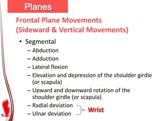 Planes & axes | PPTX