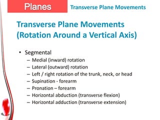Planes & axes | PPTX