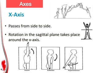 Planes & axes | PPTX
