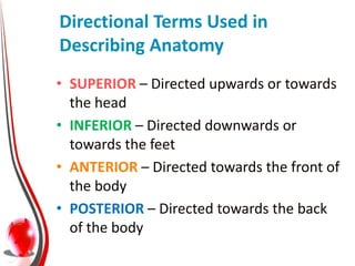 Planes & axes | PPTX