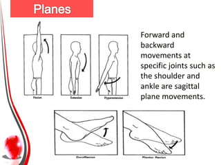 Longitudinal Axis Movement