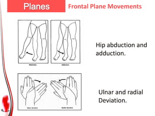 Longitudinal Axis Movement