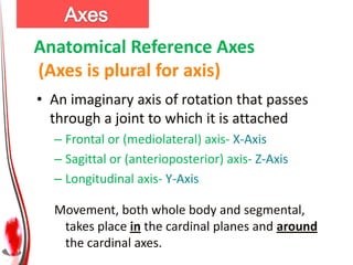 Bilateral Axis Frontal Horizontal