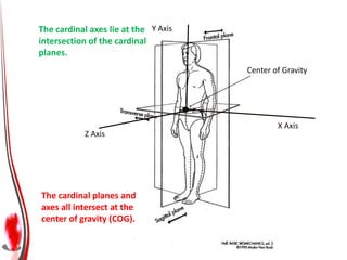 Longitudinal Axis Movement