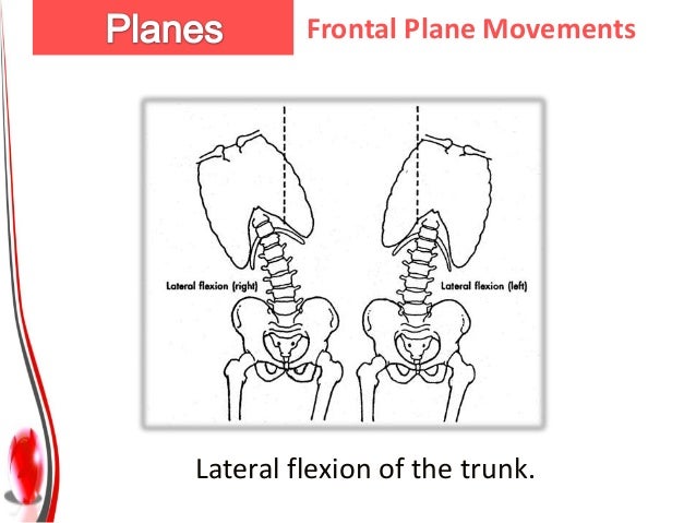 Flexion Meaning
