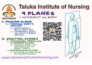 Planes in human body | PPT
