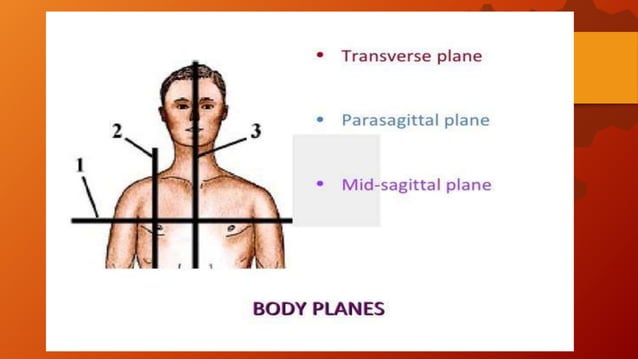 Planes of human body.pptx