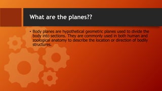 Planes of human body.pptx