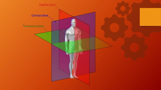 Planes of human body.pptx