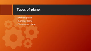 Planes of human body.pptx