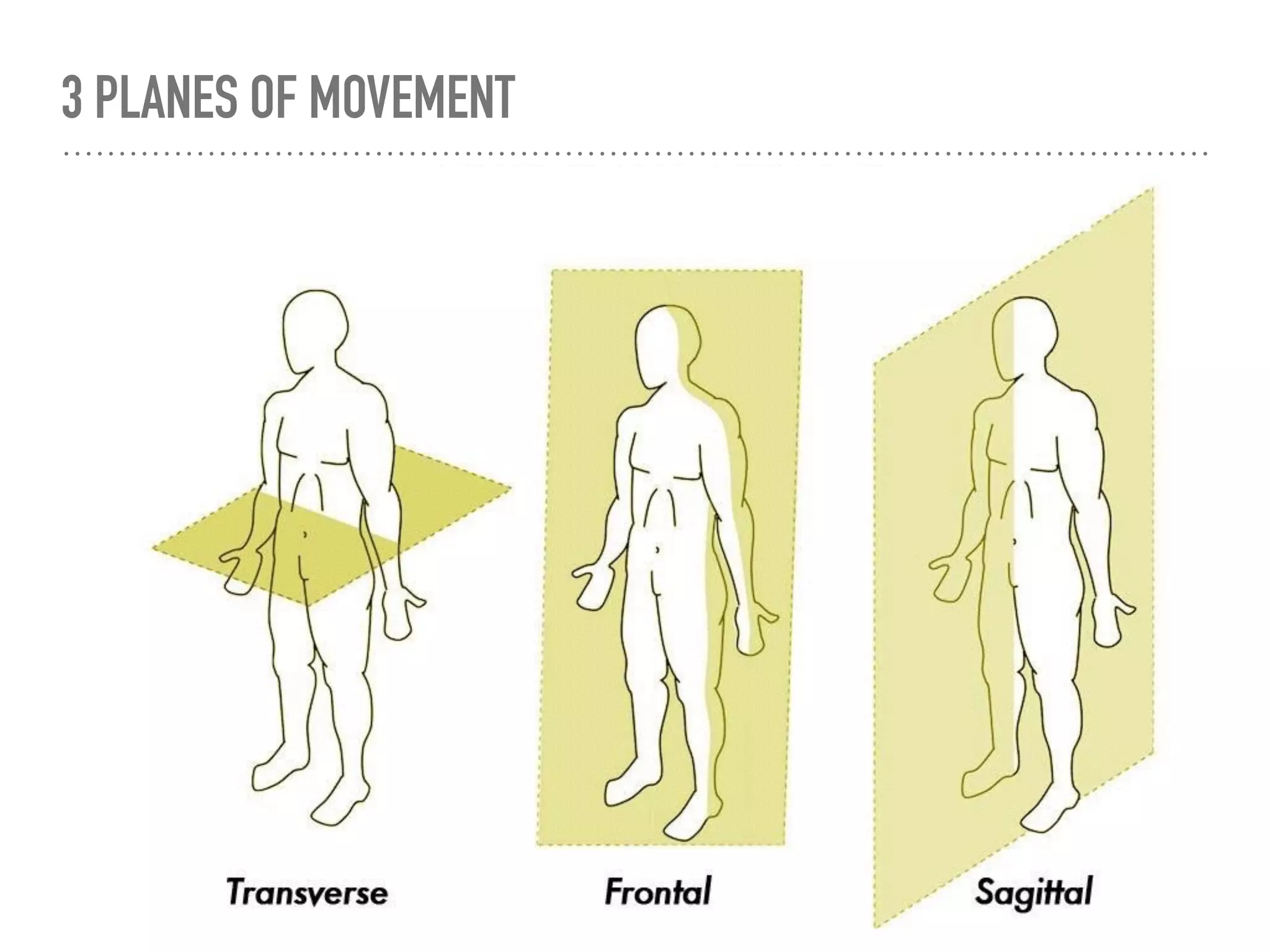 Planes of motion | PDF