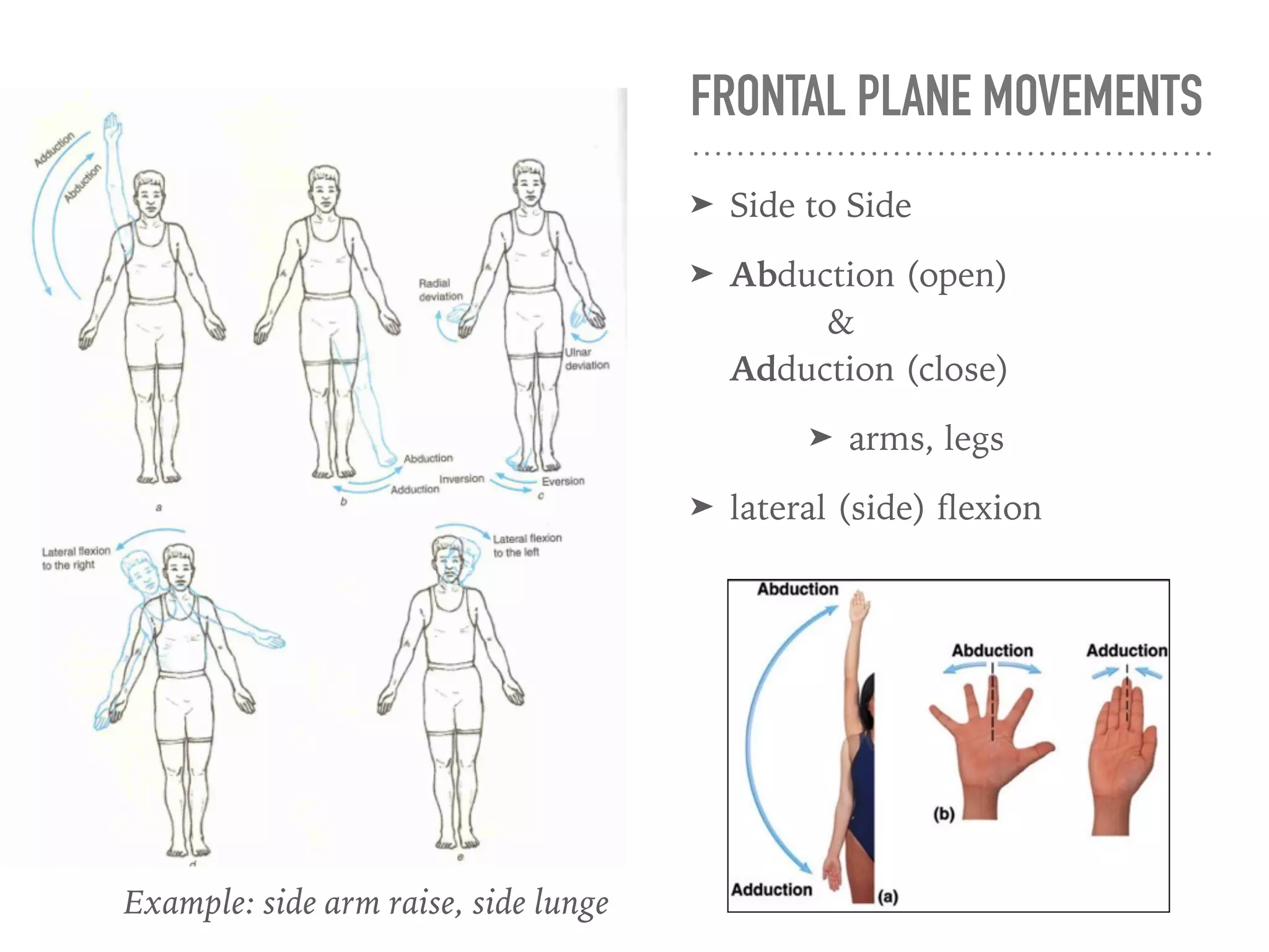 Planes of motion | PDF
