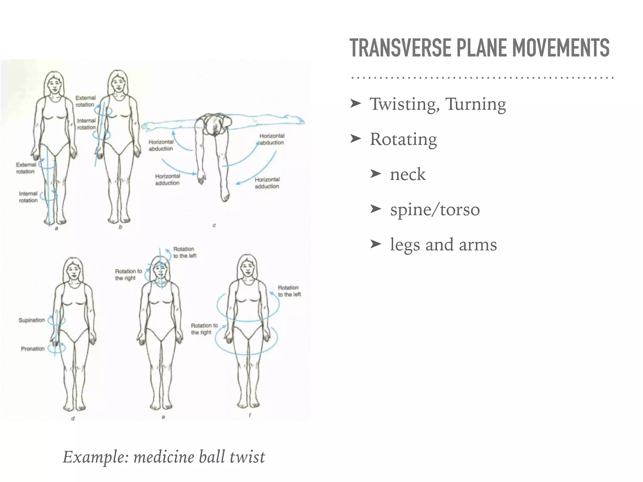 Planes of motion | PDF
