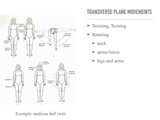 Planes of motion | PDF