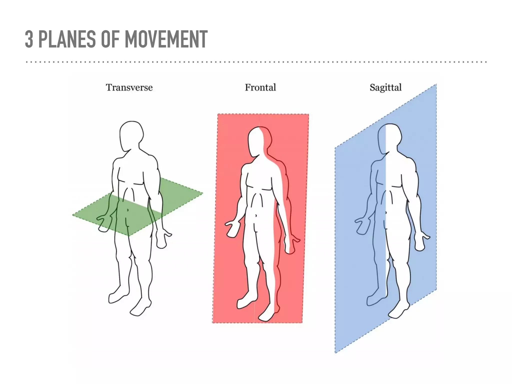 Planes of Movement | PDF