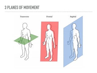 Planes of Movement | PDF