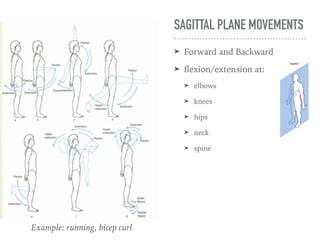 Planes of Movement | PDF | Fitness and Exercise | Healthy Living