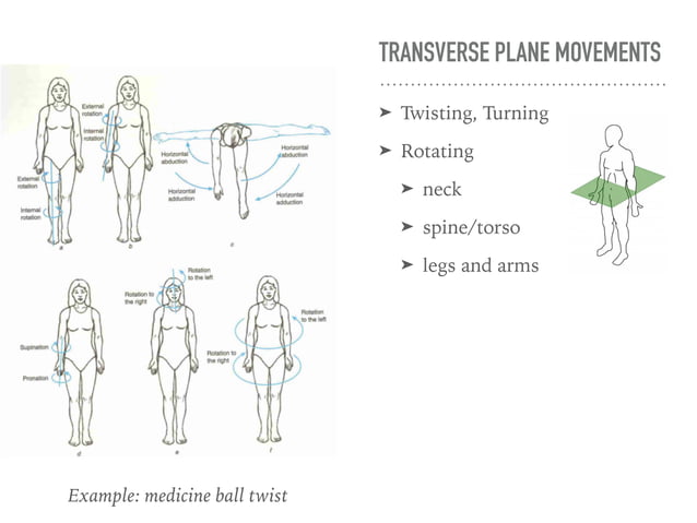 Planes of Movement | PDF