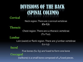 Planes of the body | PPSX