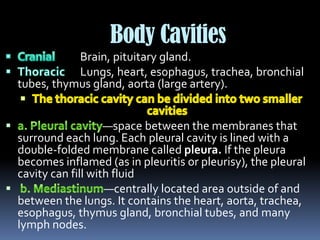 Planes of the body | PPSX