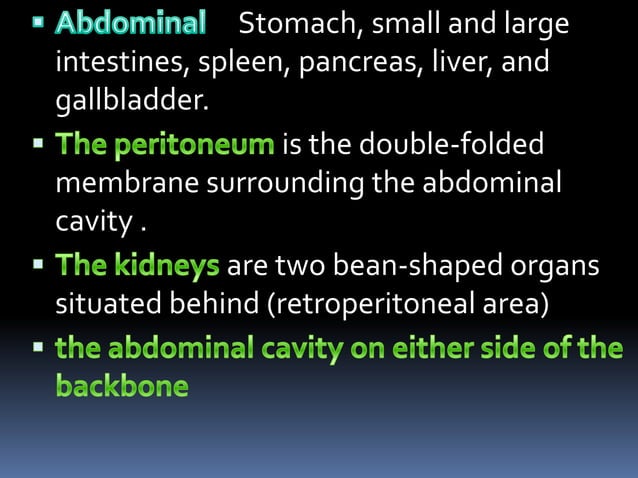 Planes of the body | PPSX