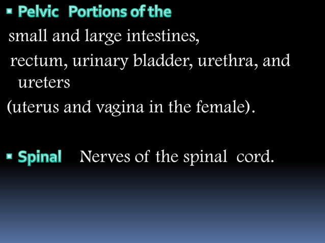 Planes of the body | PPSX