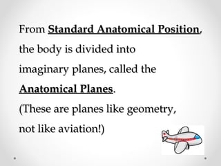 Planes of the_body | PPT