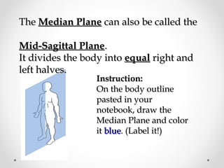 Planes of the_body | PPT