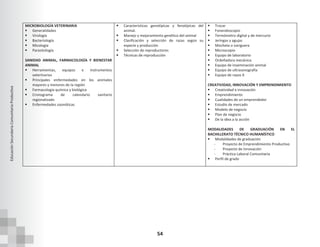 Planes y Programas - Bachillerato Técnico Humanístico - BTH.pdf