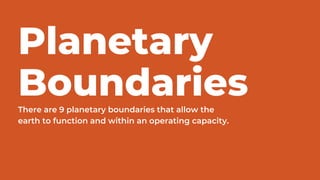 Planetary boundaries | PDF