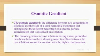 Planf physilogy | PPTX