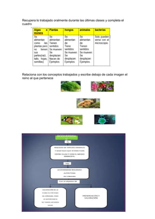 PLANIFICACION ANIMALES Y PLANTAS (1).docx